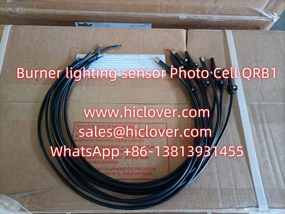 Burner lighting sensor Photo Cell QRB1 – Waste Incinerator